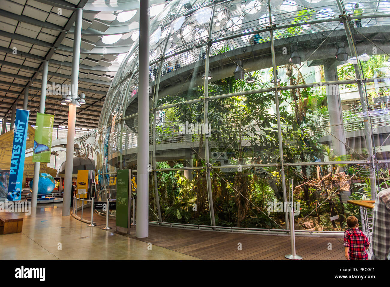 SAN FRANCISCO, USA - OCT 5, 2015: Rainforests of the World enclosure in ...