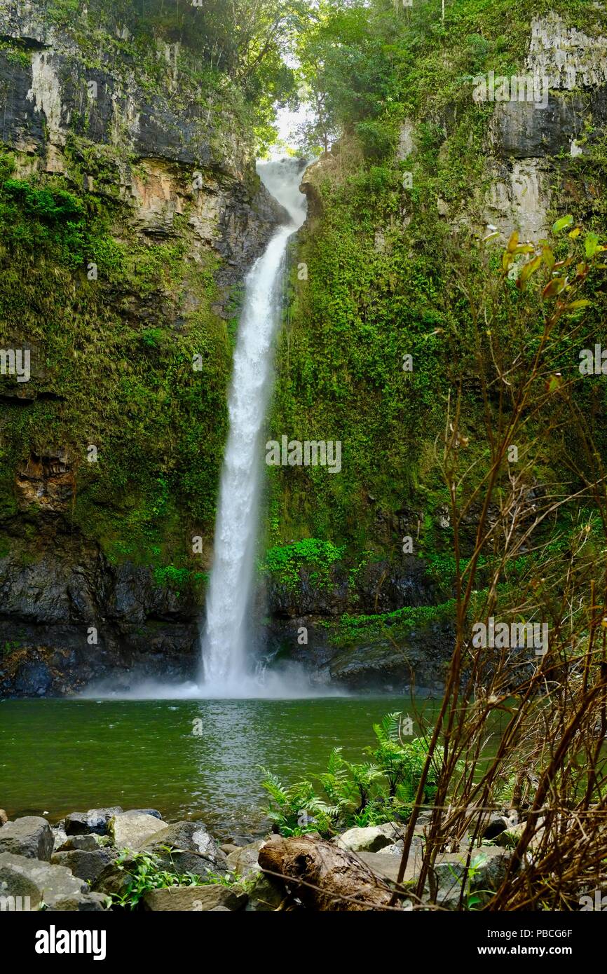 Upper Nandroya falls, falls Nandroya Falls Circuit, Atherton Tablelands ...