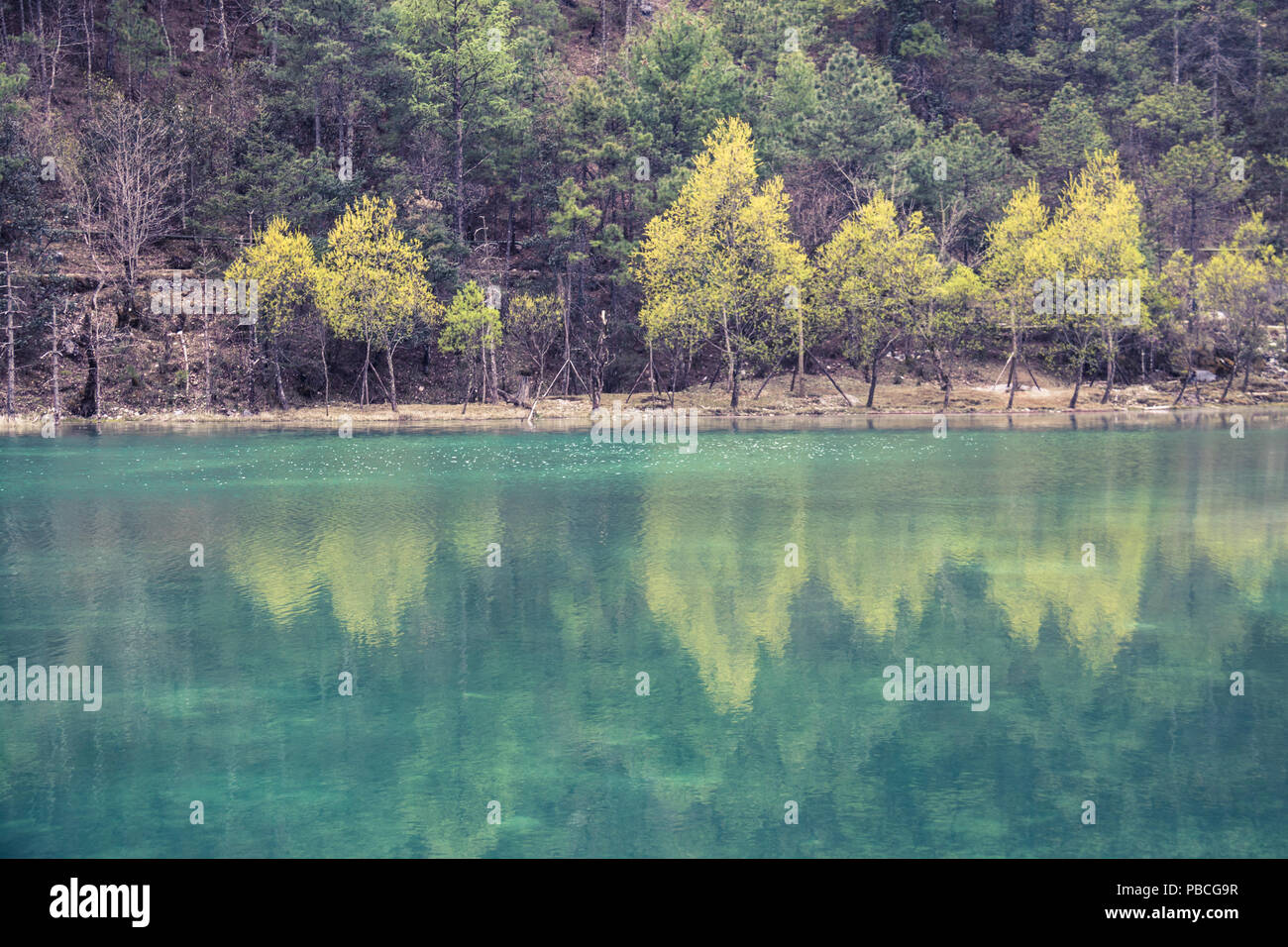 Blue Moon Valley in Lijiang, Yunnan, China Stock Photo - Alamy