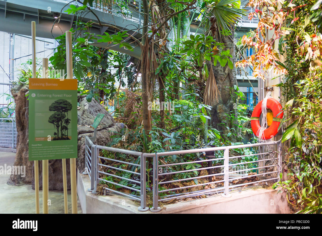 SAN FRANCISCO, USA - OCT 5, 2015: Interior of Rainforests of the World ...