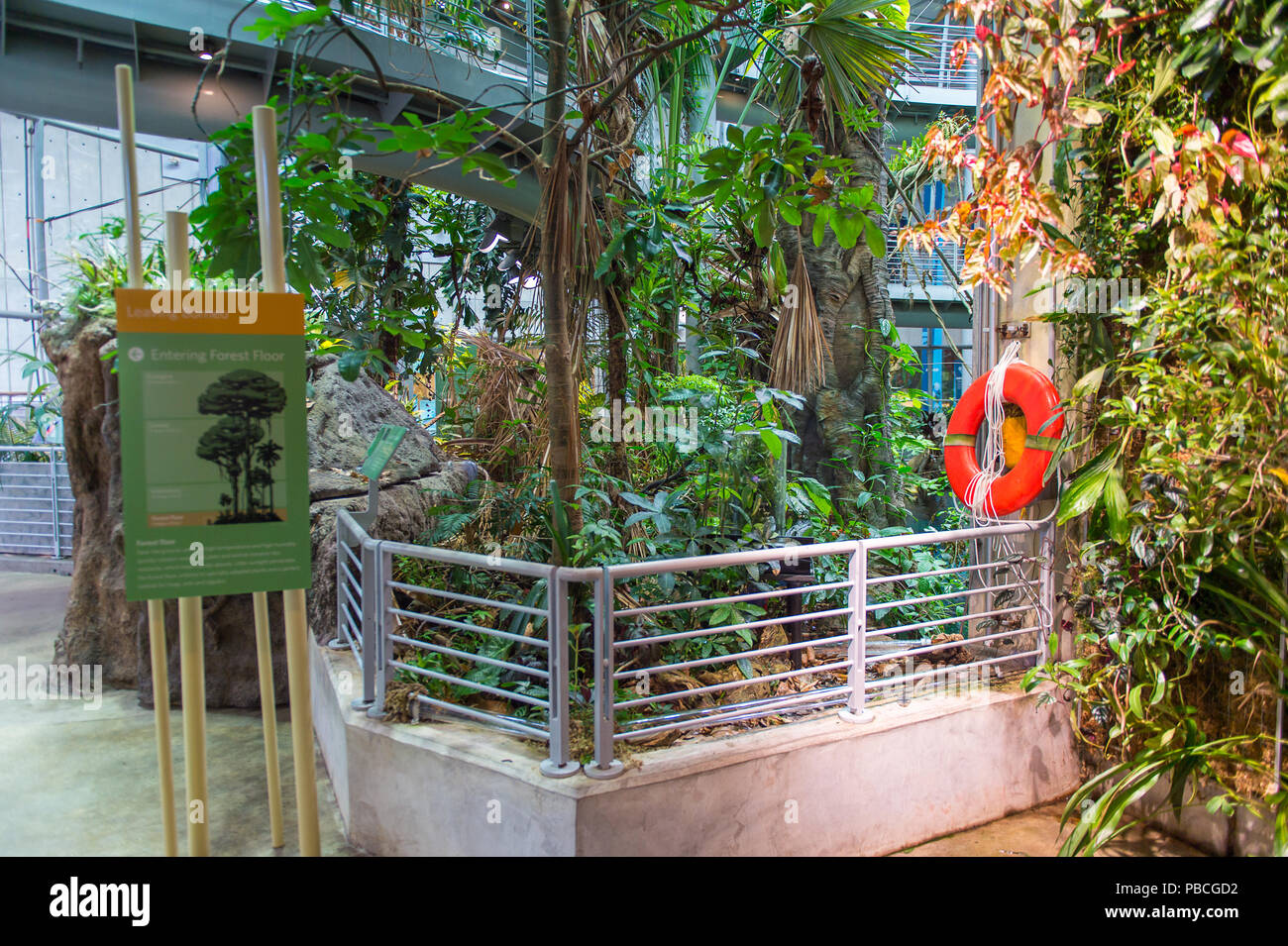 SAN FRANCISCO, USA - OCT 5, 2015: Interior of Rainforests of the World ...