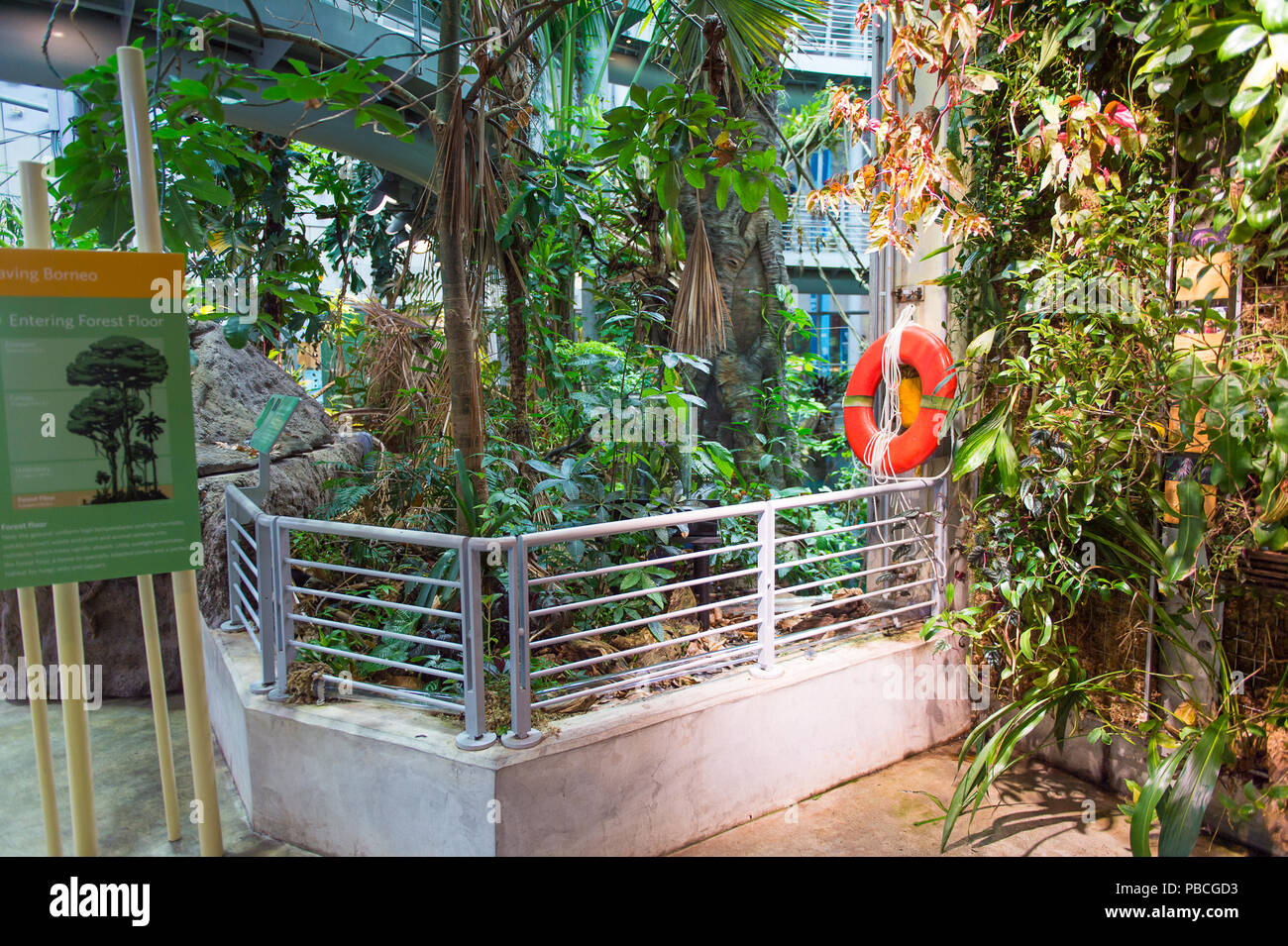 SAN FRANCISCO, USA - OCT 5, 2015: Interior of Rainforests of the World ...