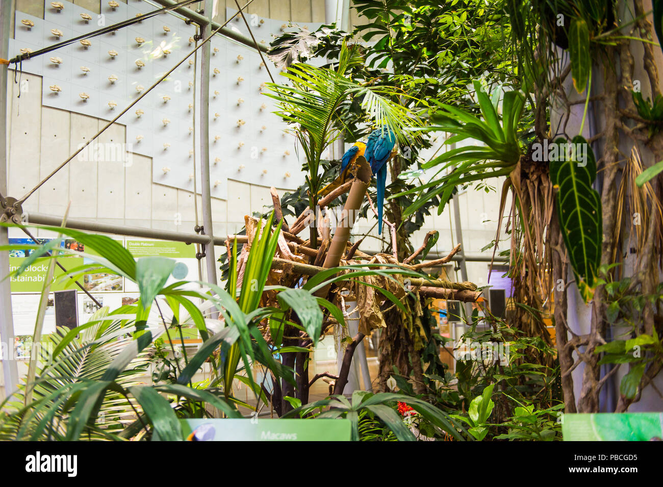 SAN FRANCISCO, USA - OCT 5, 2015: Interior of Rainforests of the World ...