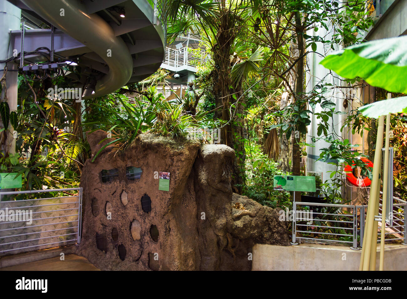 SAN FRANCISCO, USA - OCT 5, 2015: Interior of Rainforests of the World ...