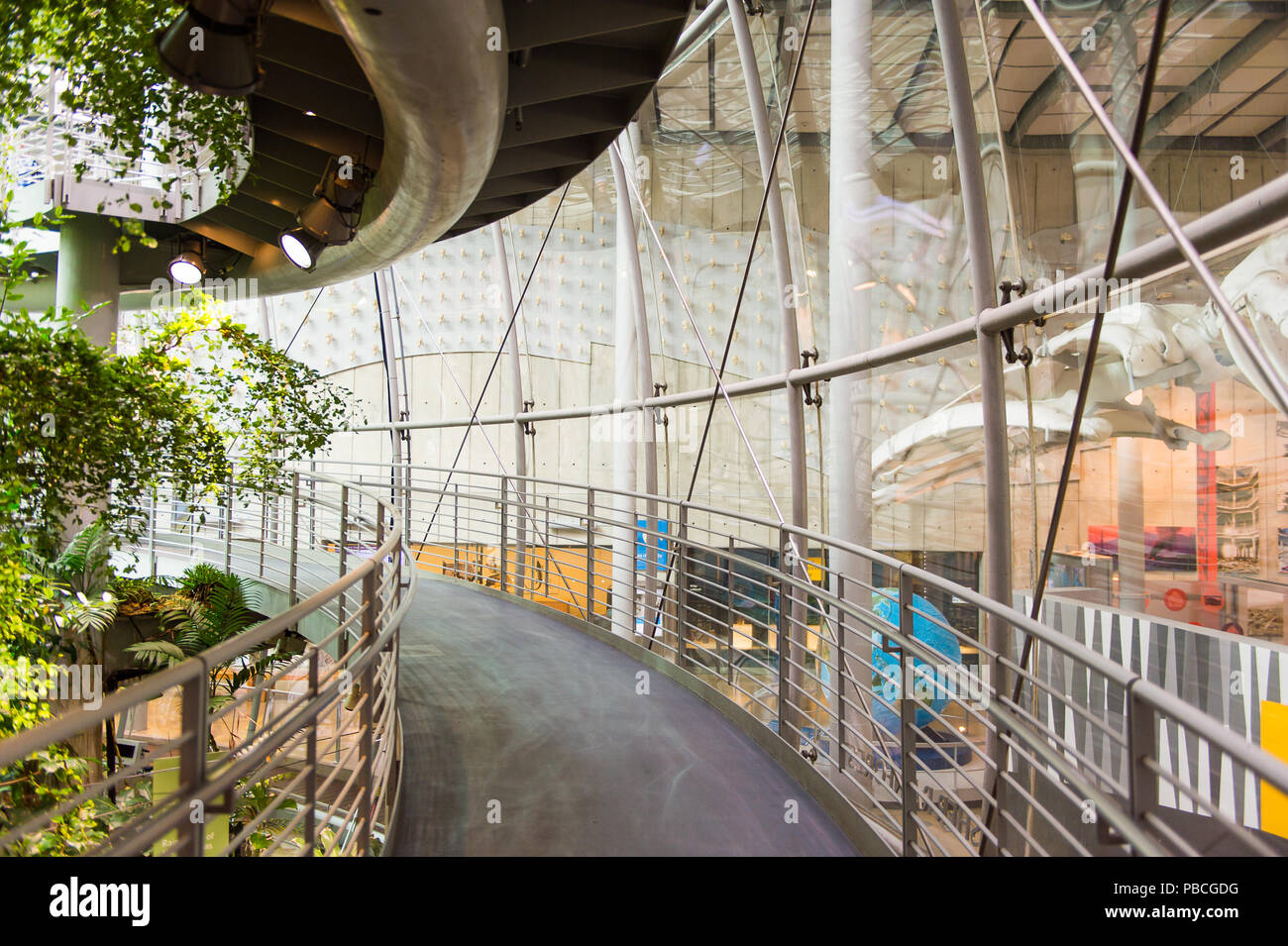 SAN FRANCISCO, USA - OCT 5, 2015: Interior of Rainforests of the World ...