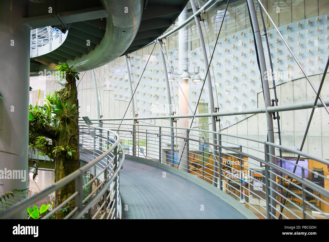 SAN FRANCISCO, USA - OCT 5, 2015: Interior of Rainforests of the World ...