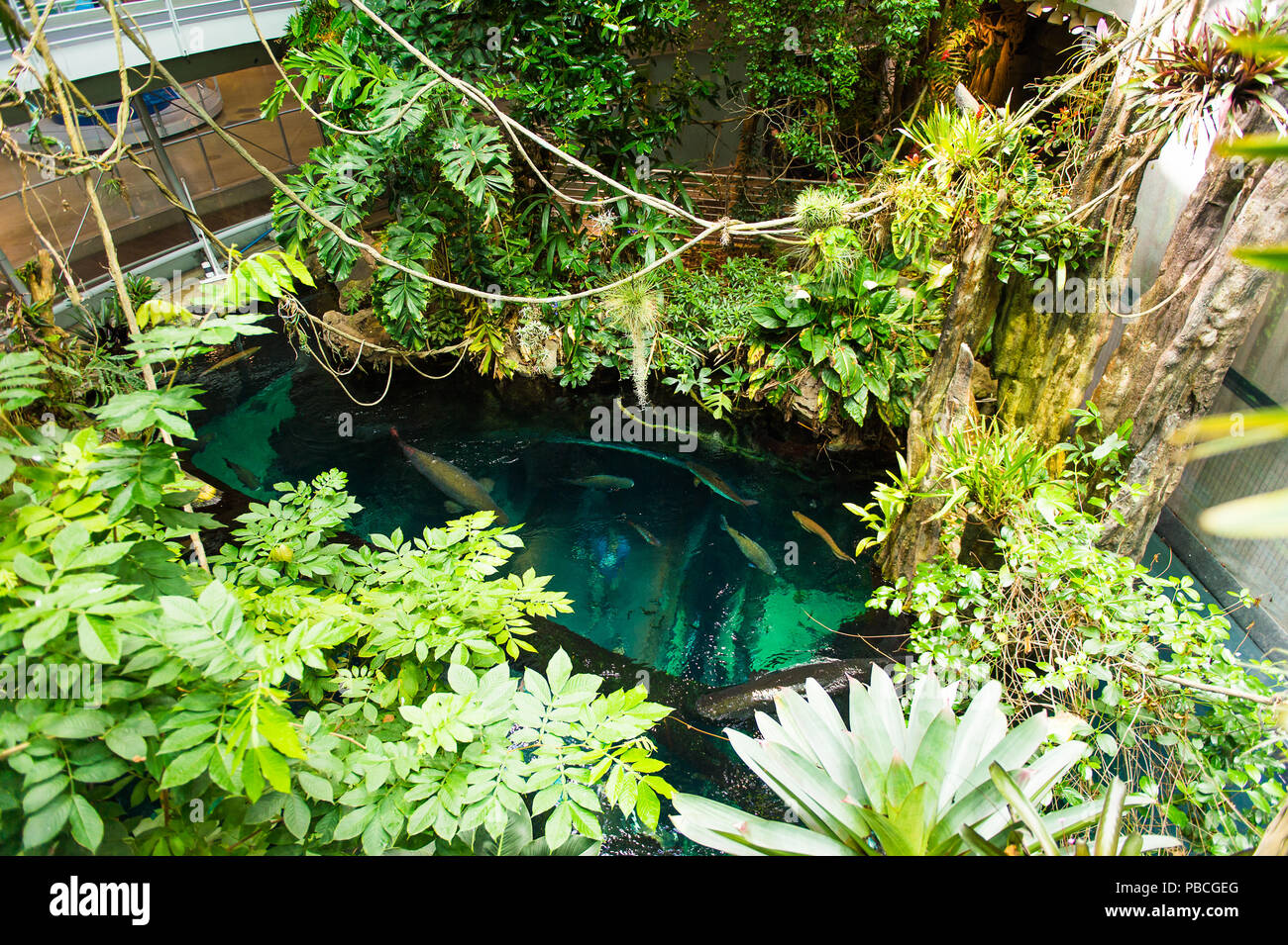SAN FRANCISCO, USA - OCT 5, 2015: Interior of Rainforests of the World ...