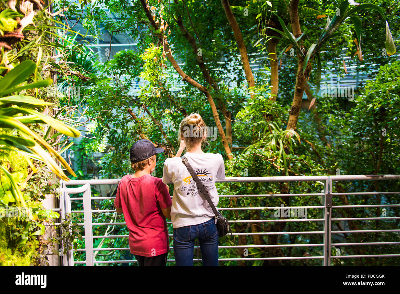 SAN FRANCISCO, USA - OCT 5, 2015: Interior of Rainforests of the World ...