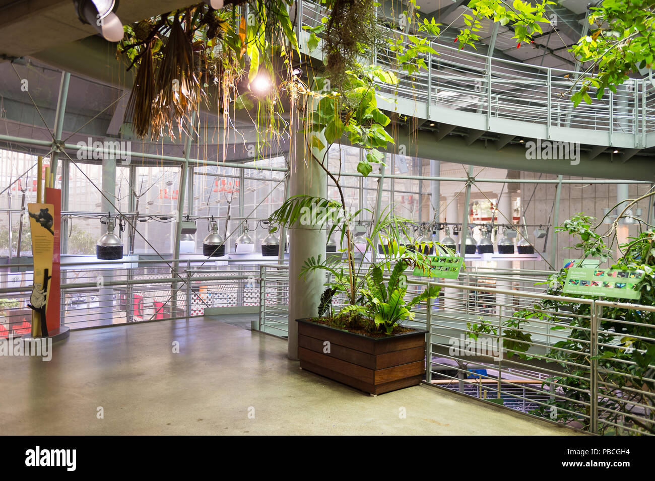 SAN FRANCISCO, USA - OCT 5, 2015: Interior of Rainforests of the World ...