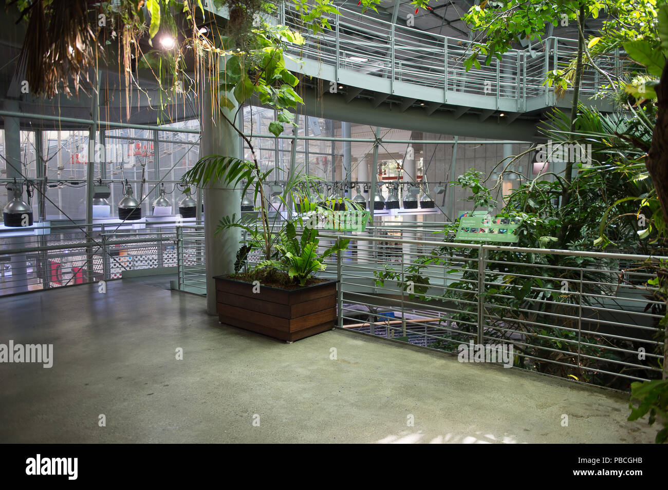 SAN FRANCISCO, USA - OCT 5, 2015: Interior of Rainforests of the World ...