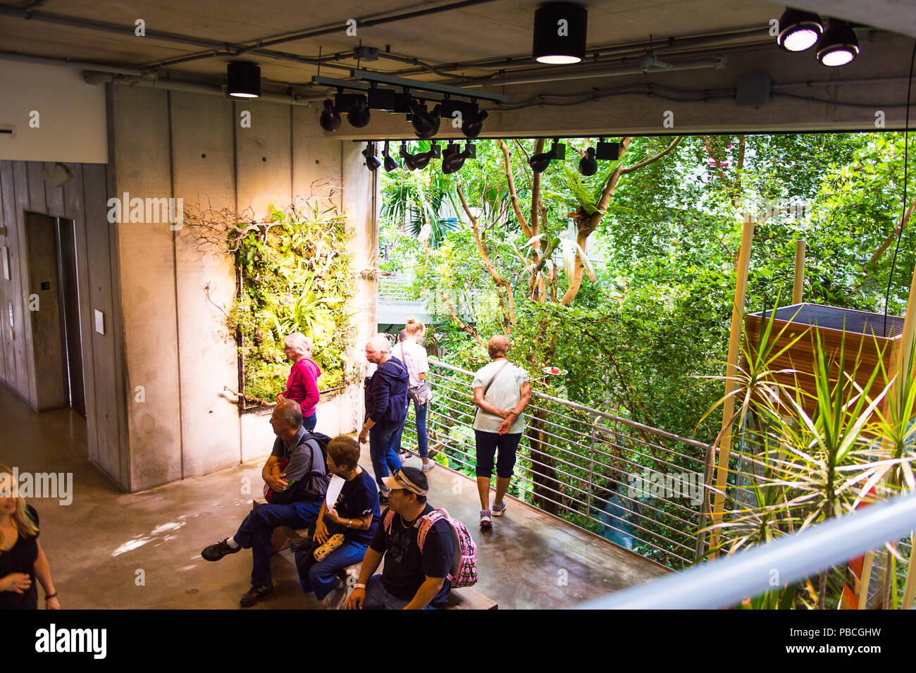 SAN FRANCISCO, USA - OCT 5, 2015: Interior of Rainforests of the World ...