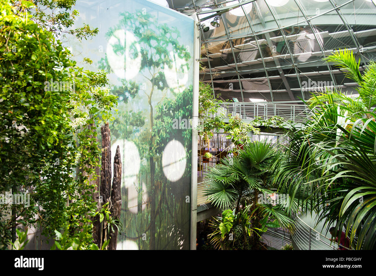 SAN FRANCISCO, USA - OCT 5, 2015: Interior of Rainforests of the World ...