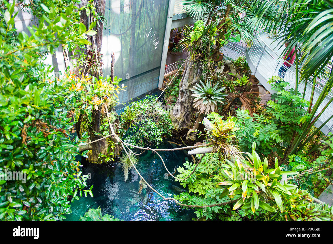 SAN FRANCISCO, USA - OCT 5, 2015: Interior of Rainforests of the World ...