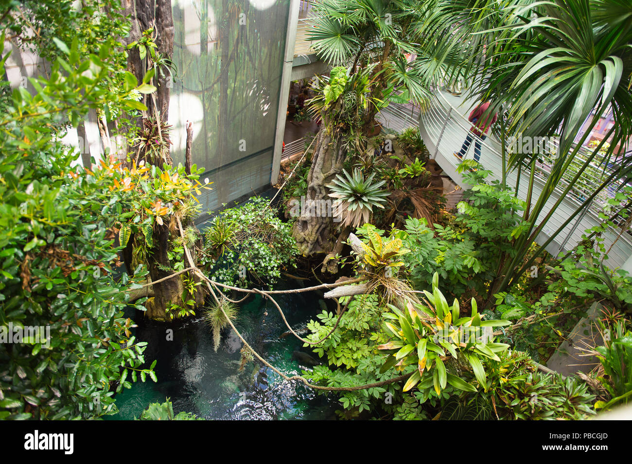 SAN FRANCISCO, USA - OCT 5, 2015: Interior of Rainforests of the World ...