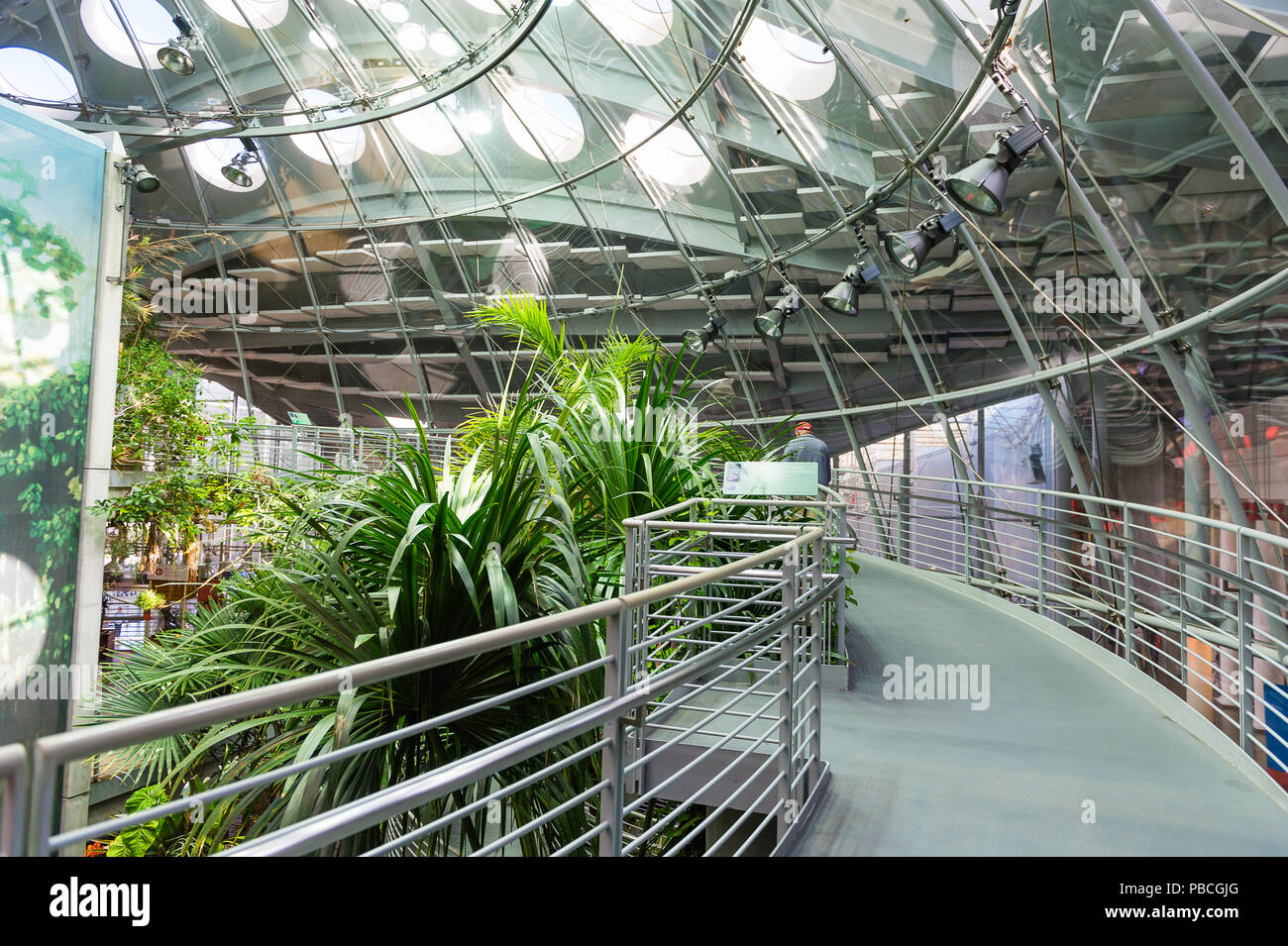 SAN FRANCISCO, USA - OCT 5, 2015: Interior of Rainforests of the World ...