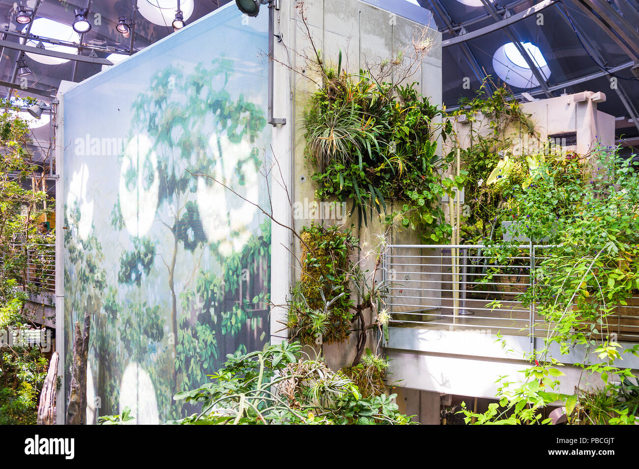 SAN FRANCISCO, USA - OCT 5, 2015: Interior of Rainforests of the World ...