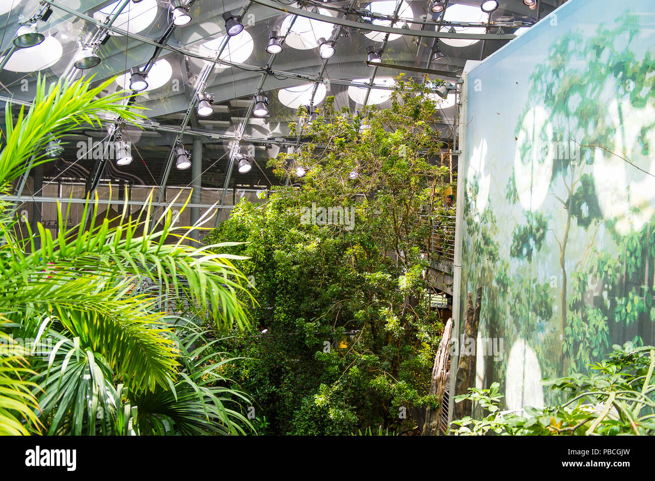 SAN FRANCISCO, USA - OCT 5, 2015: Interior of Rainforests of the World ...
