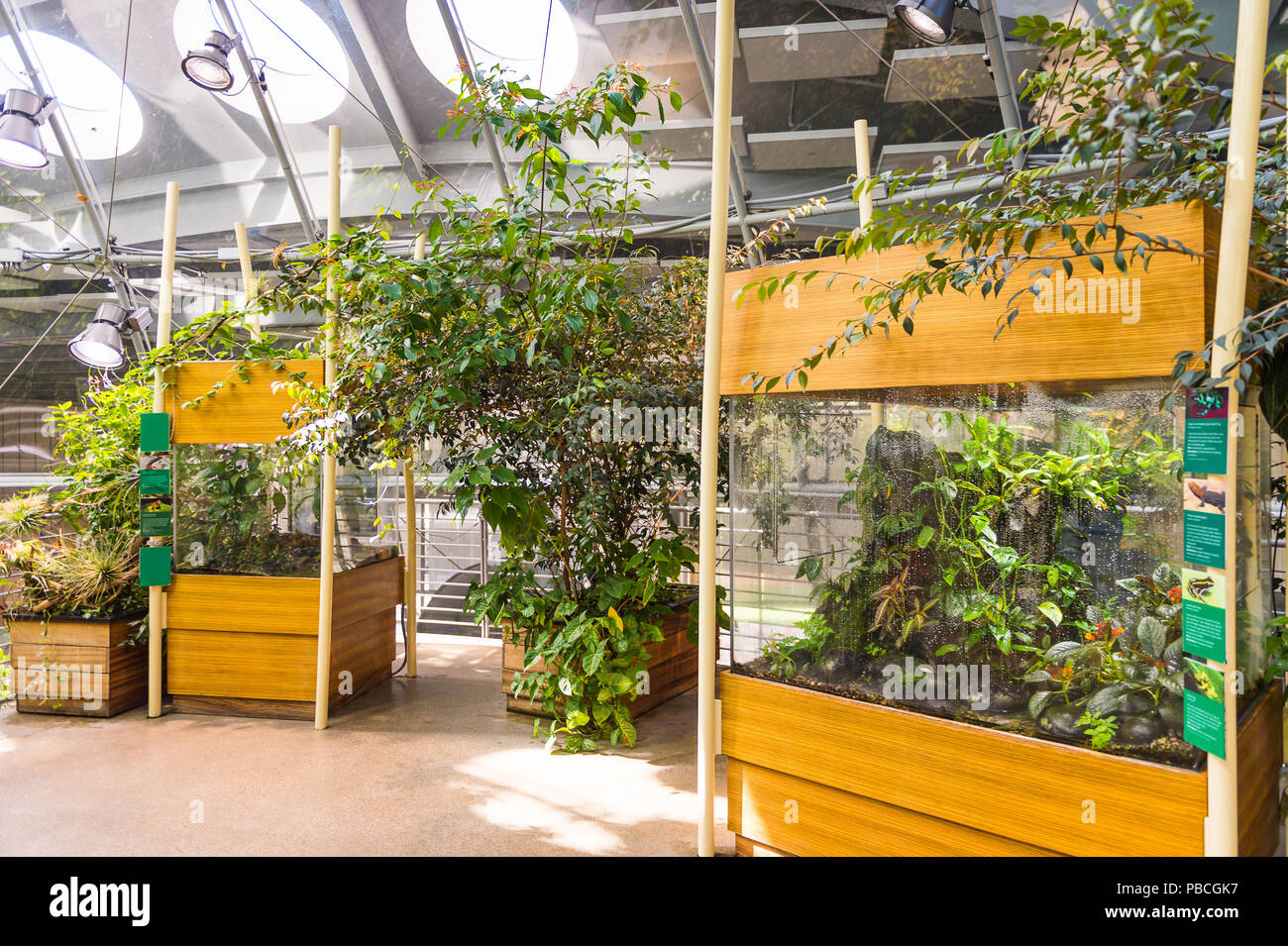 SAN FRANCISCO, USA - OCT 5, 2015: Interior of Rainforests of the World ...
