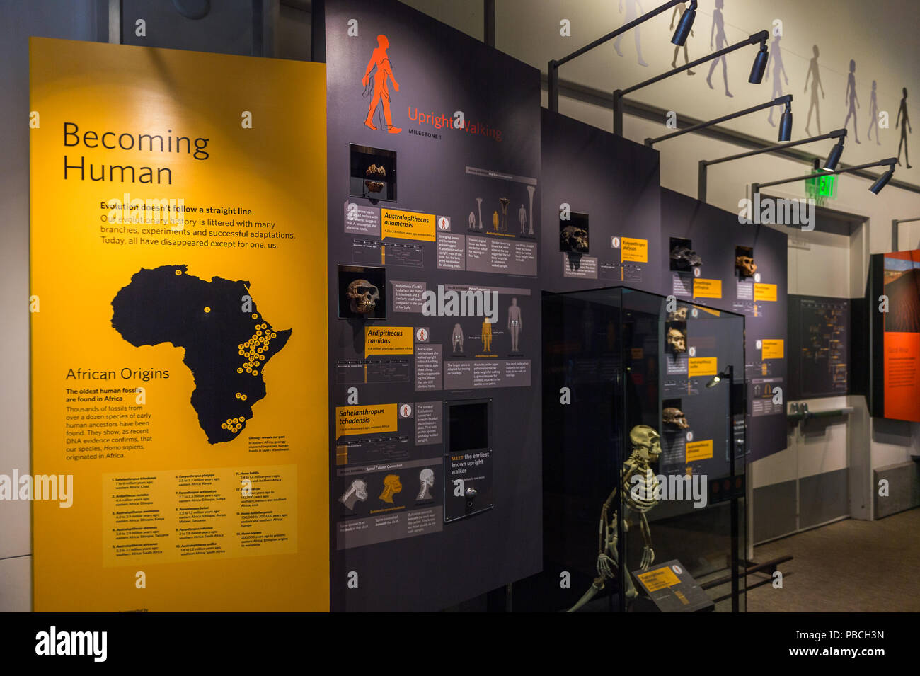 SAN FRANCISCO, USA - OCT 5, 2015: California Academy of Sciences, a ...