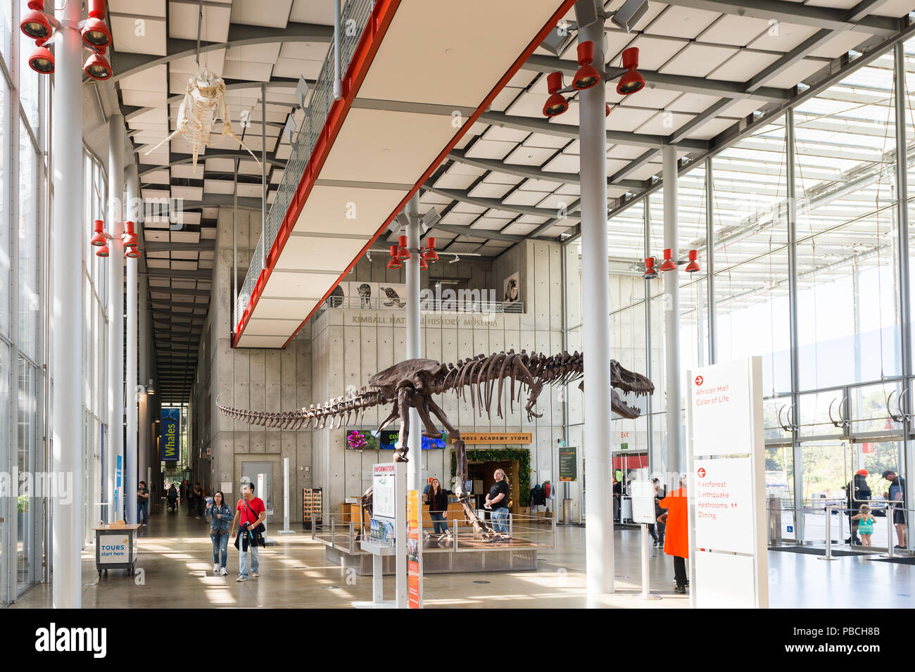 SAN FRANCISCO, USA - OCT 5, 2015: Tyrannosaur Rex skeleton in ...