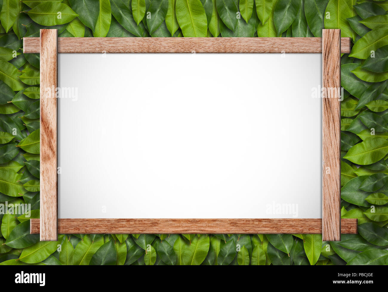 green leaf frame isolated on White background Stock Photo - Alamy