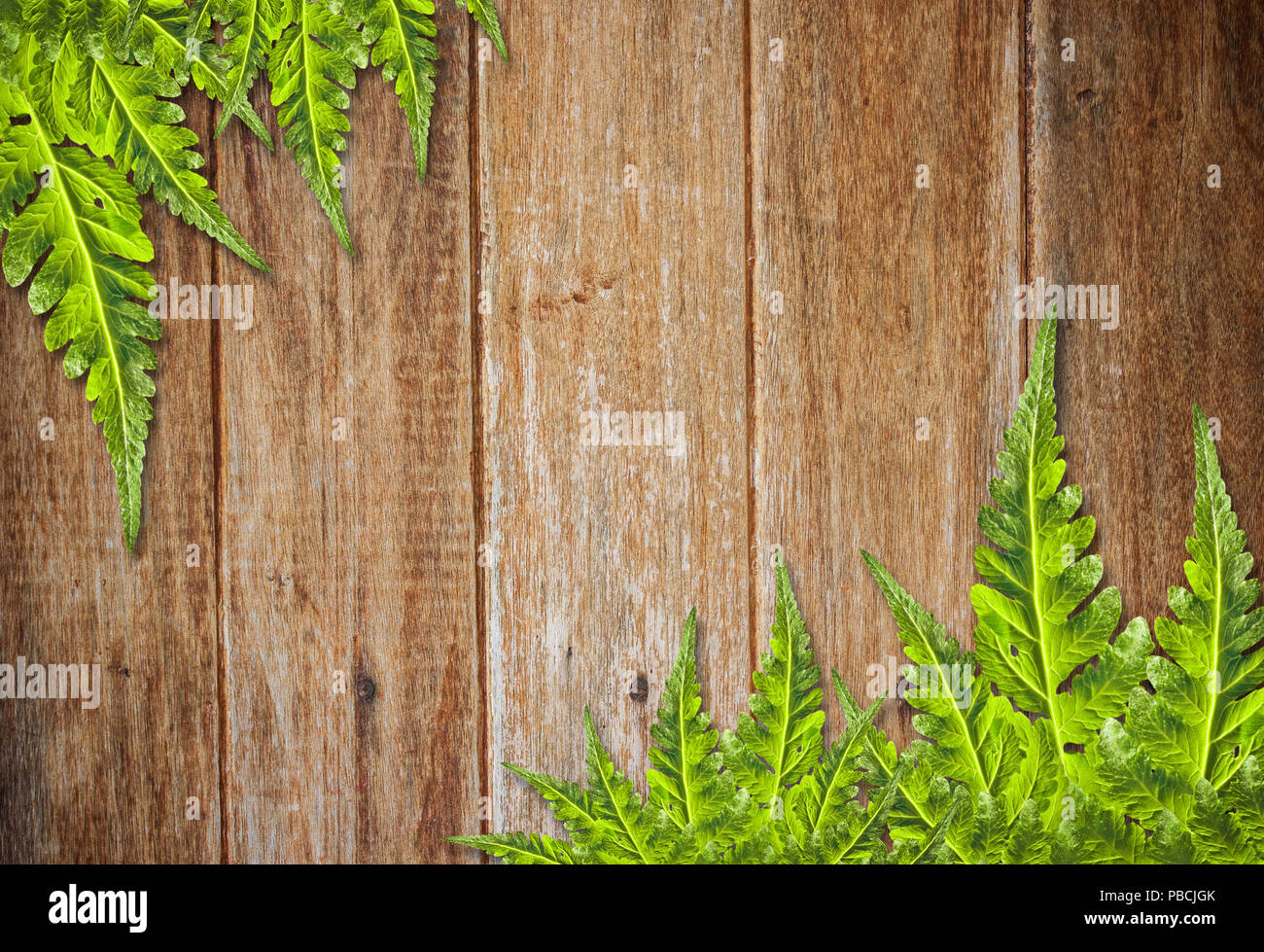 green leaf frame isolated on White background Stock Photo - Alamy
