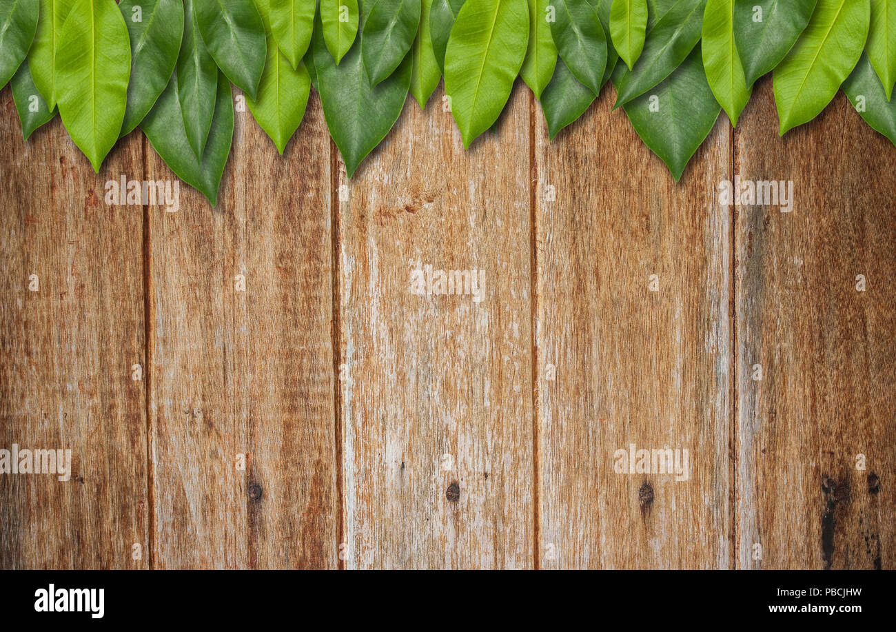 green leaf frame isolated on White background Stock Photo - Alamy