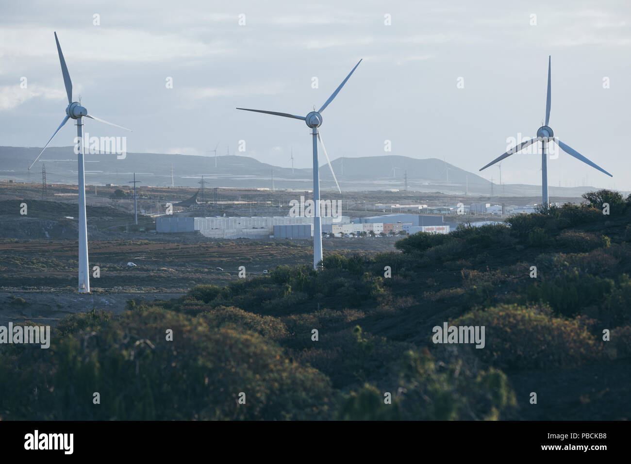 Group of windmills for electric power production Stock Photo - Alamy