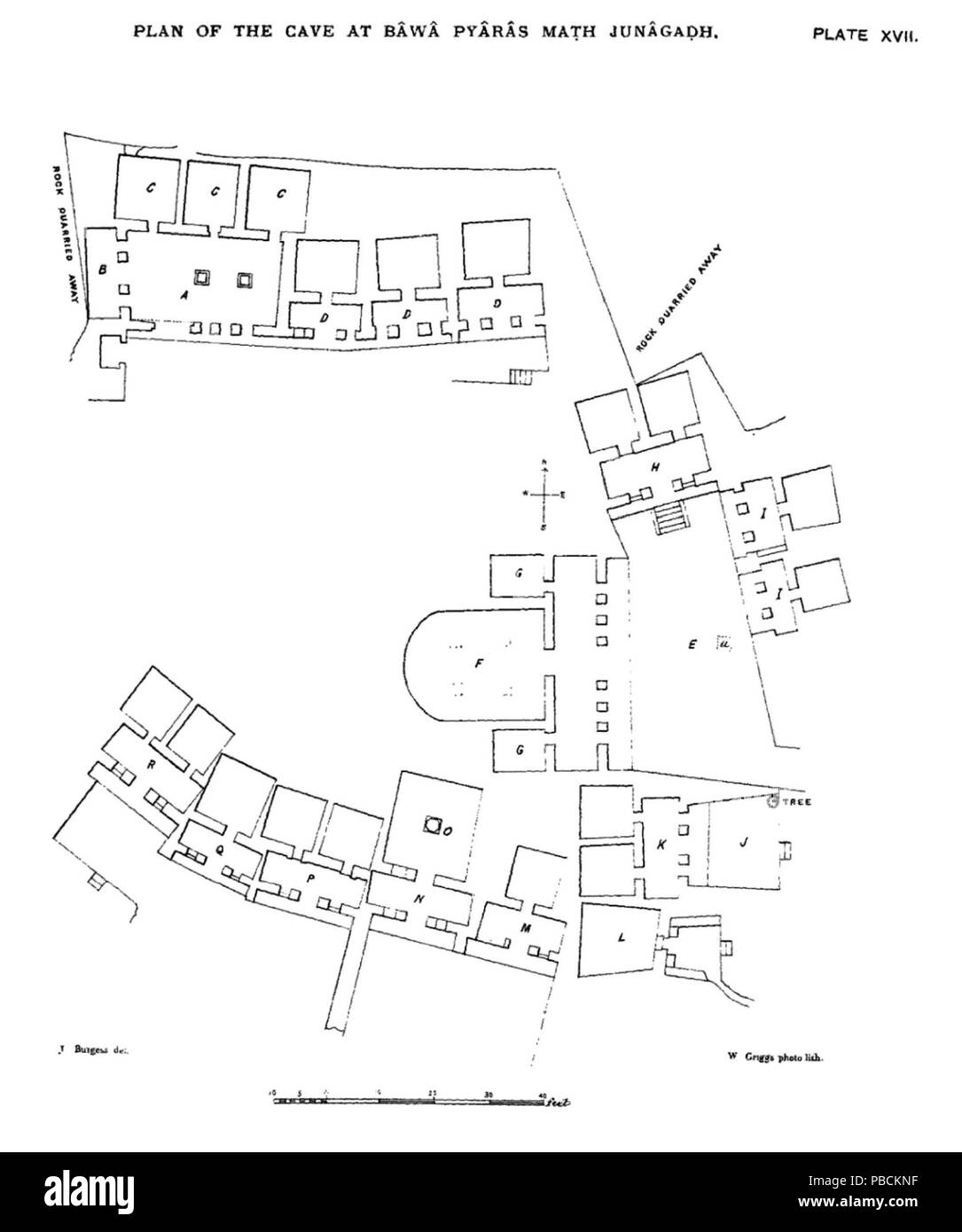 Pyara hi-res stock photography and images - Alamy