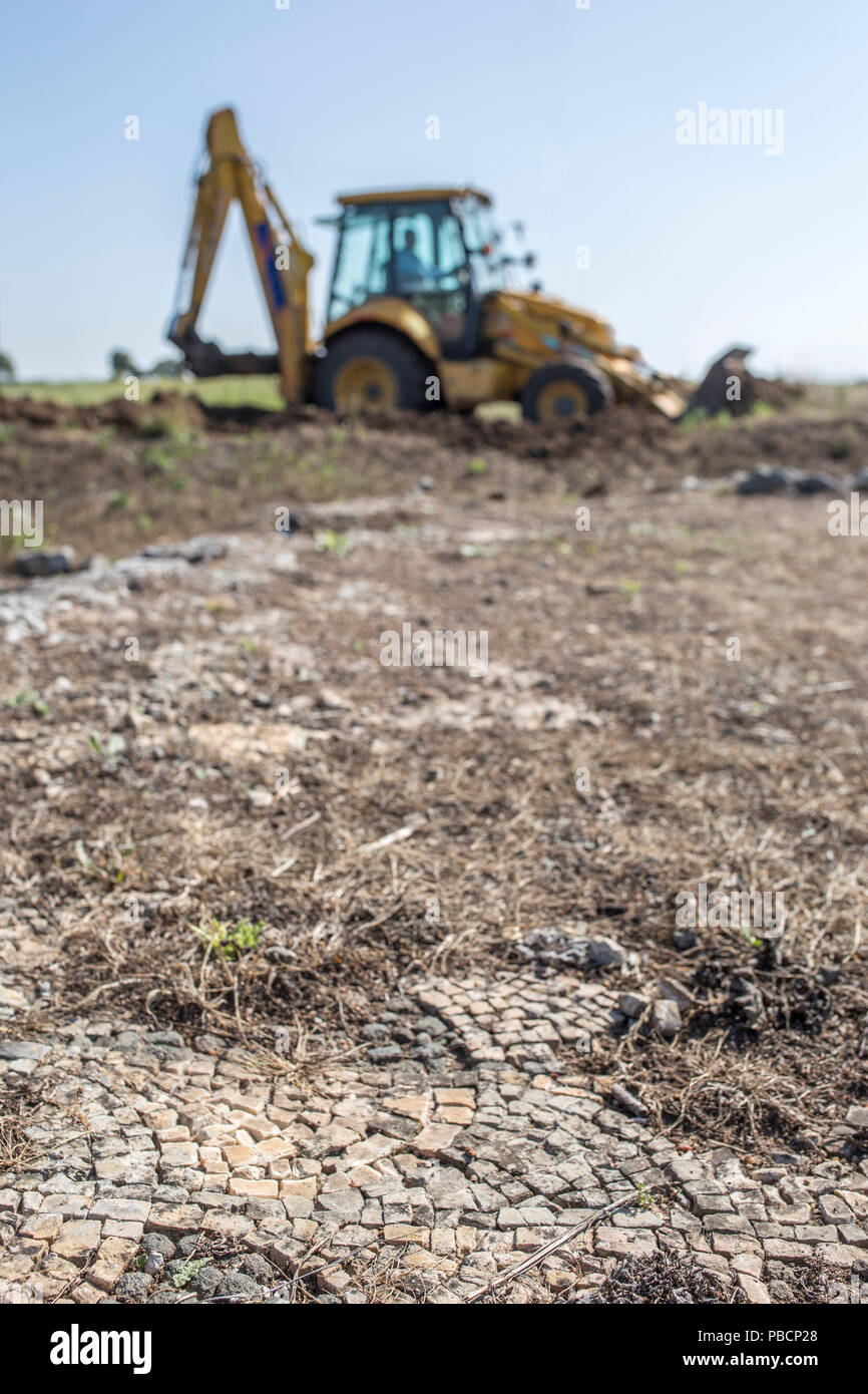 Backhoe machine at archeological excavation. Ancient Mosaic on the ...