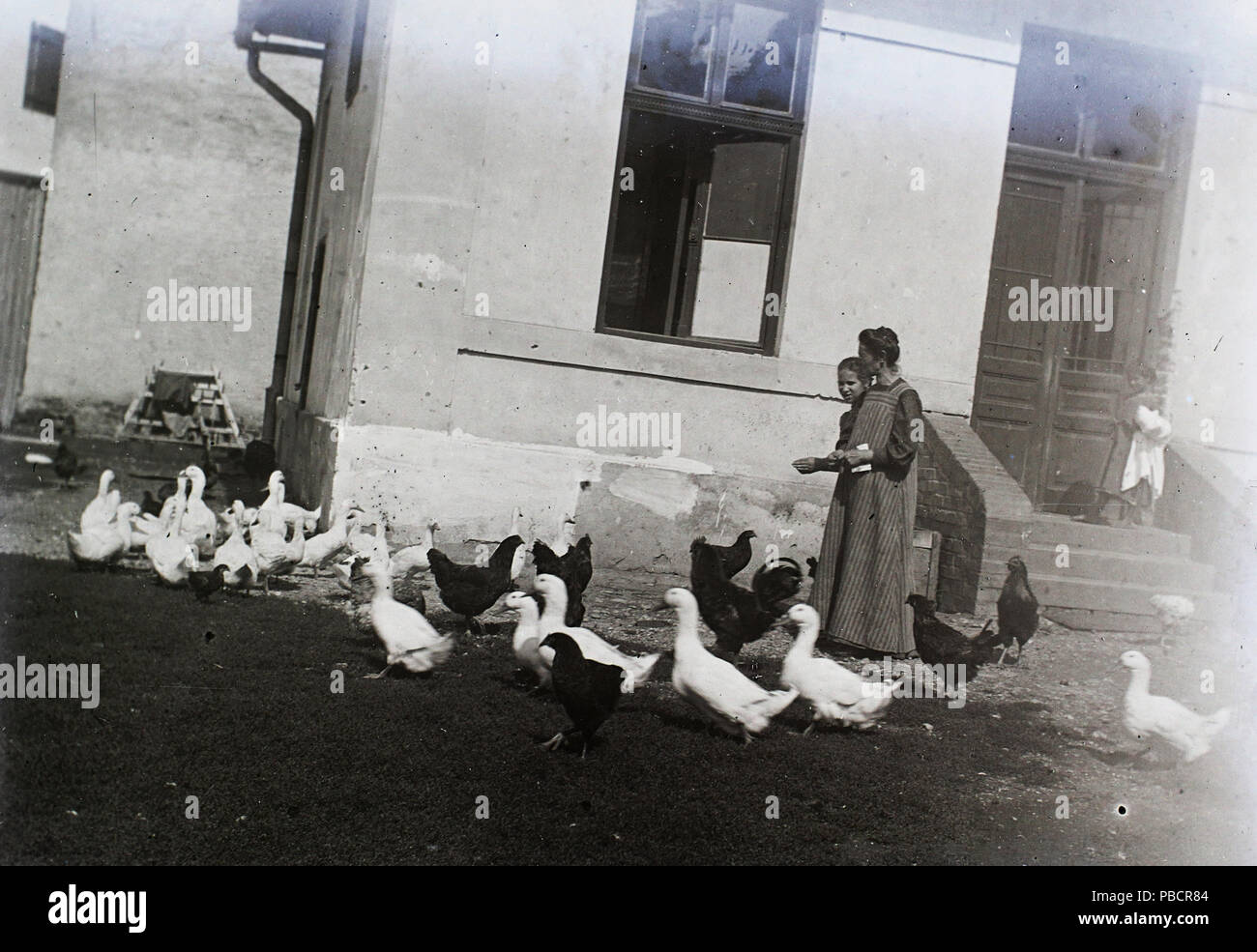 Historical poultry hi-res stock photography and images - Alamy