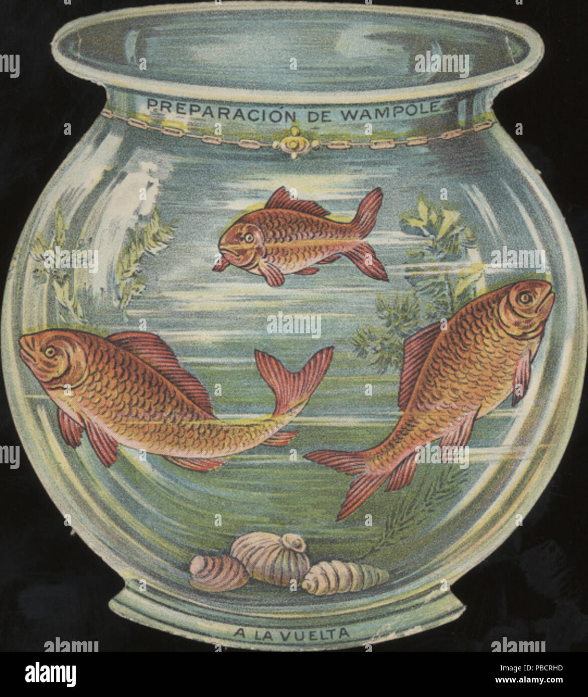 Wampoles hi-res stock photography and images - Alamy