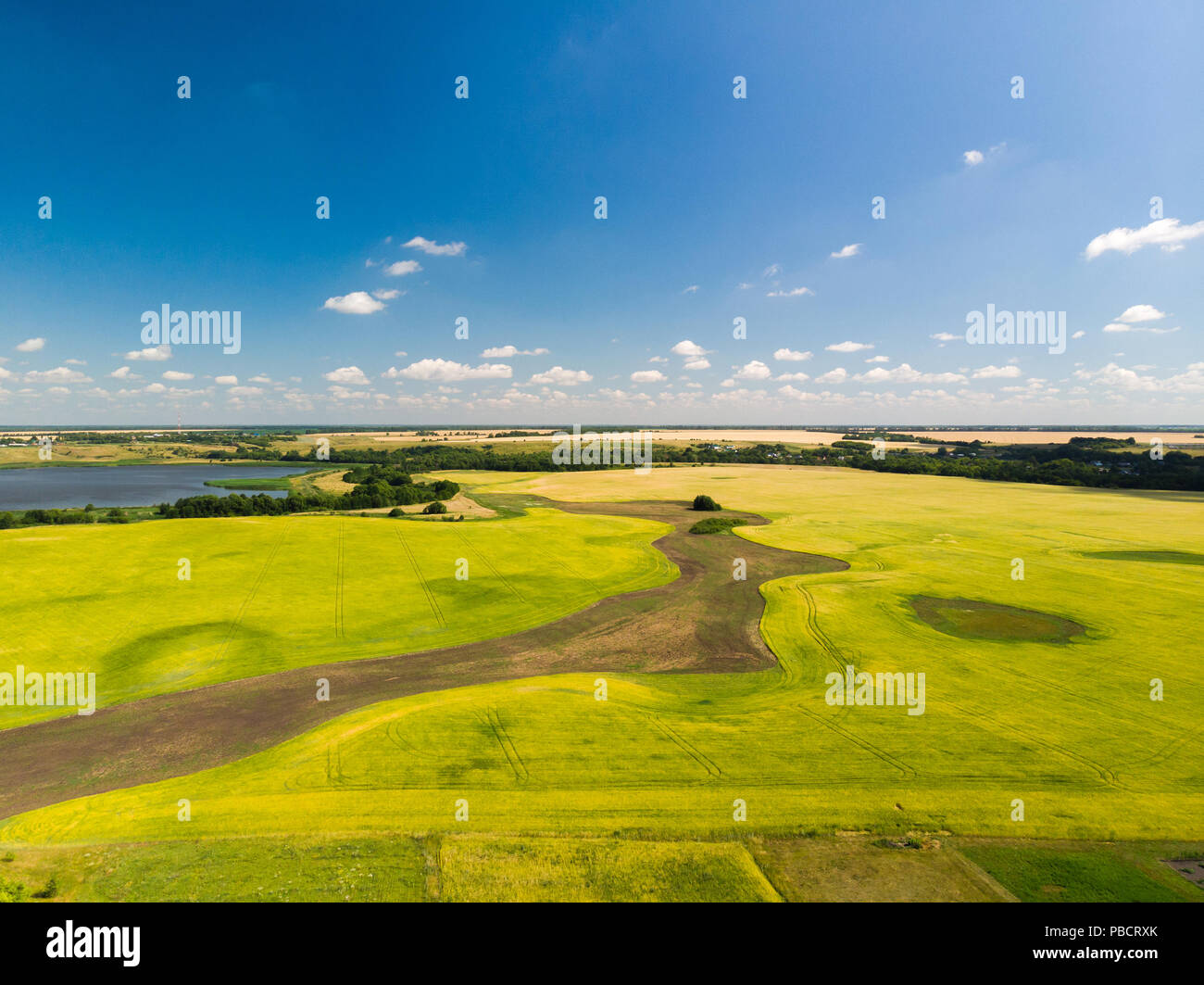 Nature of central part of Russia. cereal fields Stock Photo - Alamy