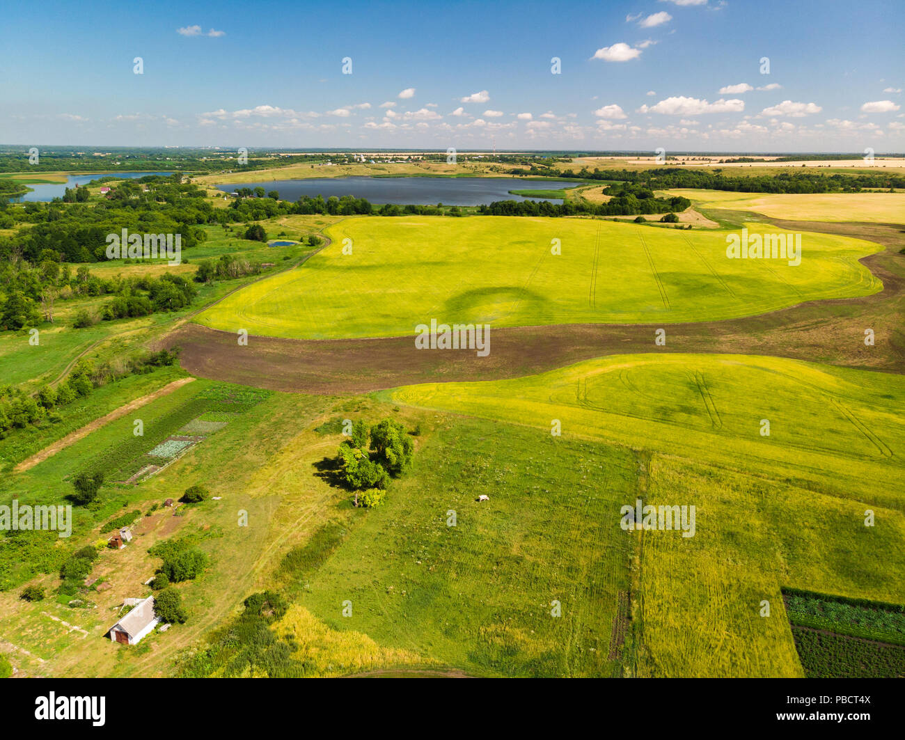 Nature of central part of Russia. cereal fields Stock Photo - Alamy