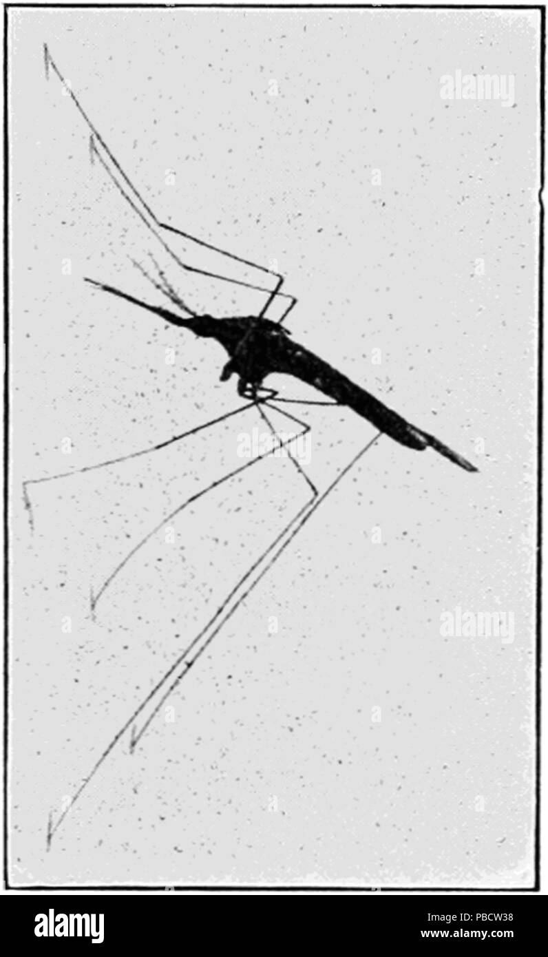 Textbook female Black and White Stock Photos & Images - Alamy