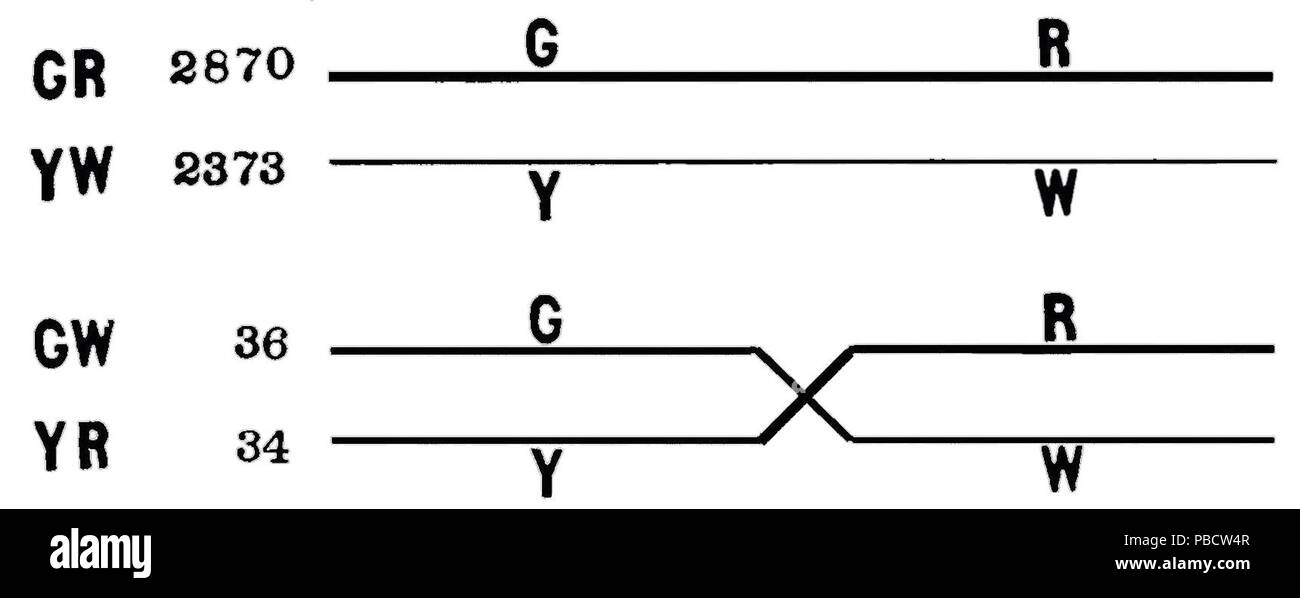 1234 Cut Out Stock Images & Pictures - Alamy