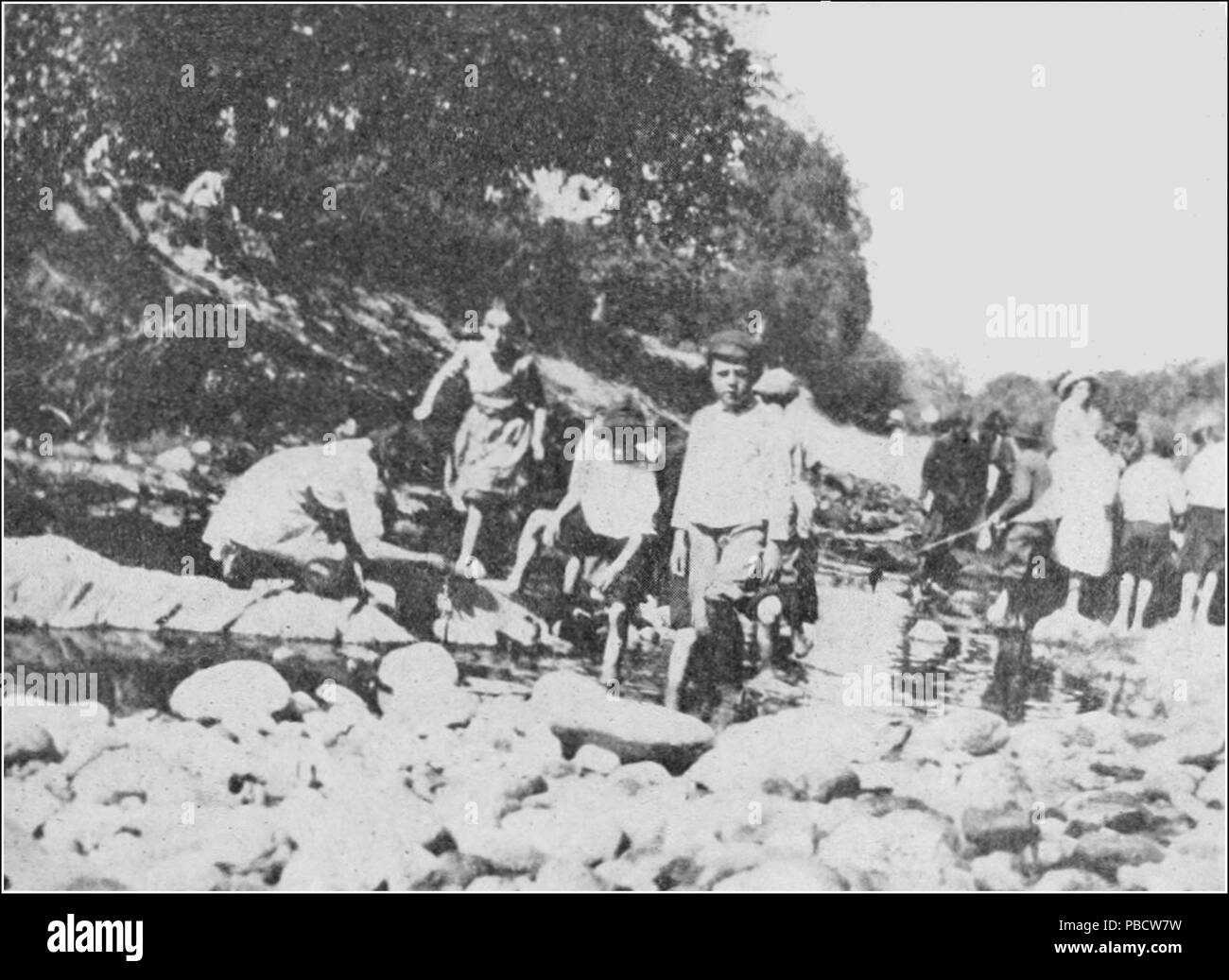 Specimen collecting Black and White Stock Photos & Images - Alamy