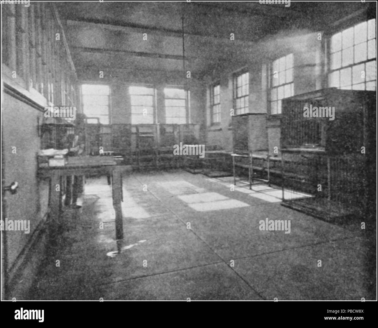 Animal quarantine Black and White Stock Photos & Images - Alamy