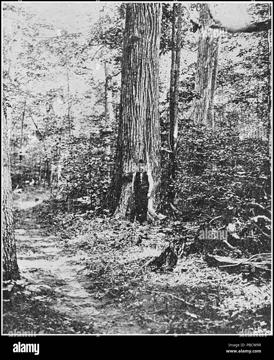 Buck spring lodge hi-res stock photography and images - Alamy