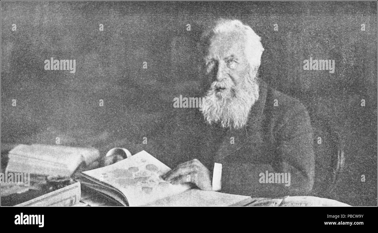 Ernst haeckel marine biologist Black and White Stock Photos & Images ...