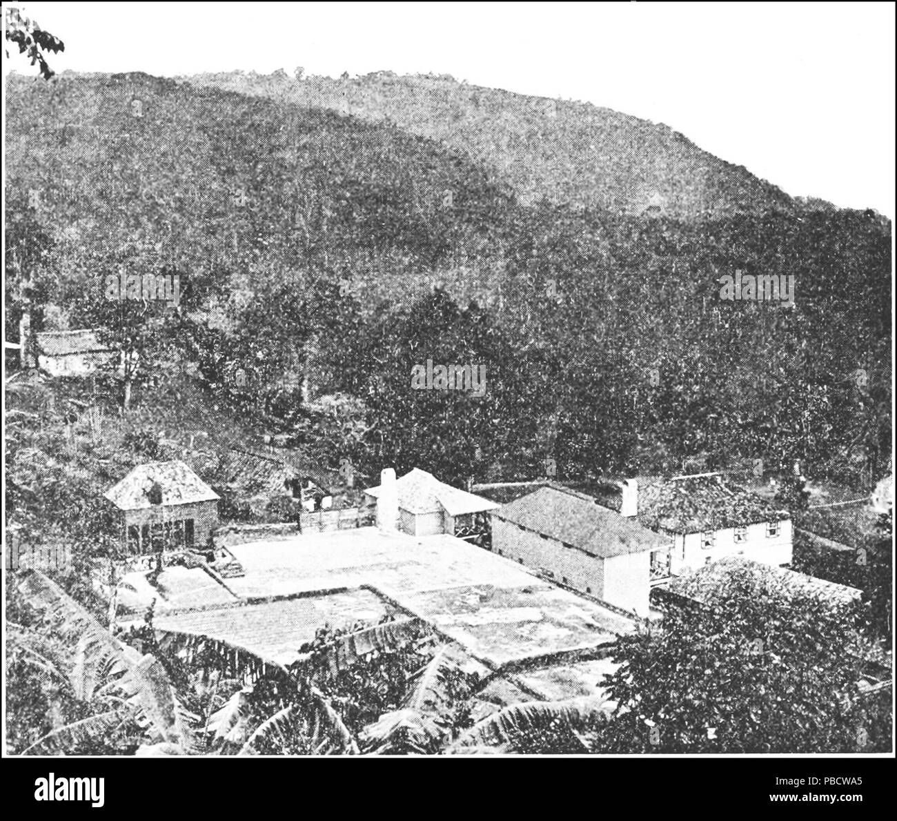 Tools coffee plantation hi-res stock photography and images - Alamy