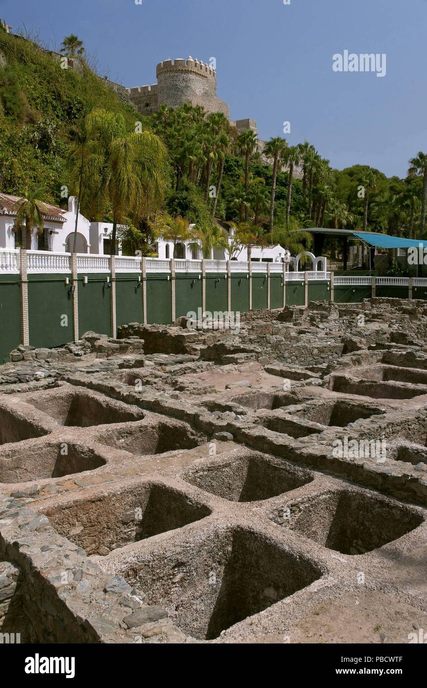 Garum fish hi-res stock photography and images - Alamy