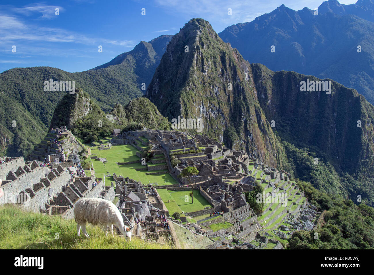 Ancient Inca Ruins of Machu Picchu Stock Photo - Alamy