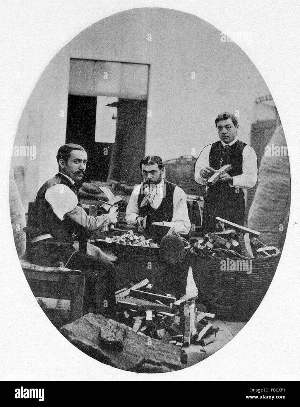 Cork harvesting Black and White Stock Photos & Images - Alamy