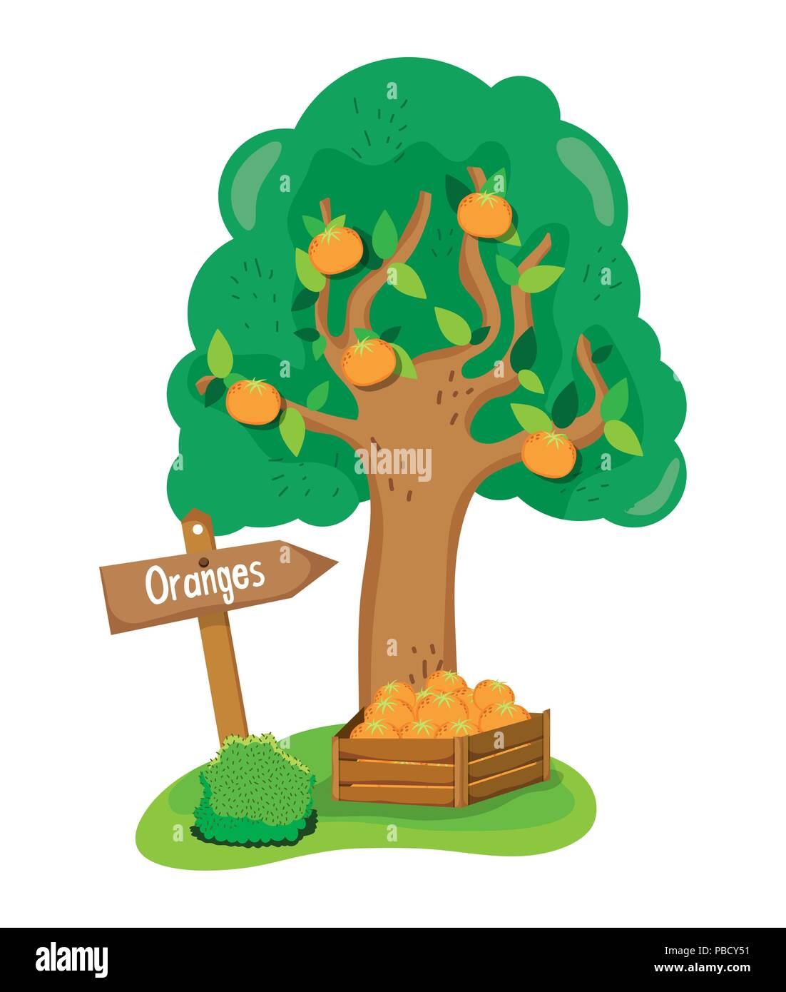 Beautiful tree fruits Stock Vector Image & Art - Alamy