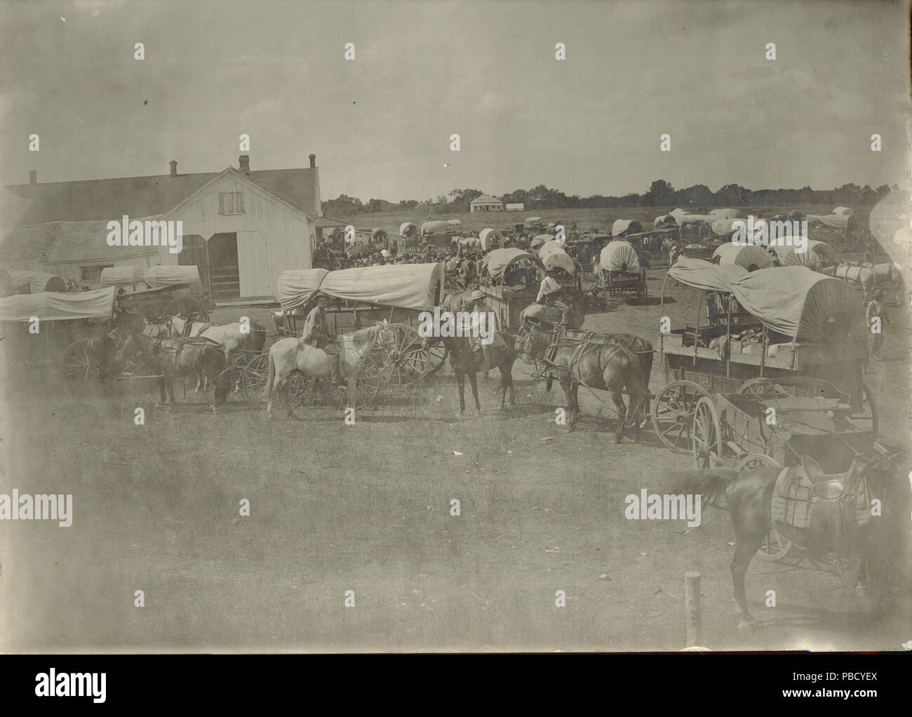 1901 registration hi-res stock photography and images - Alamy