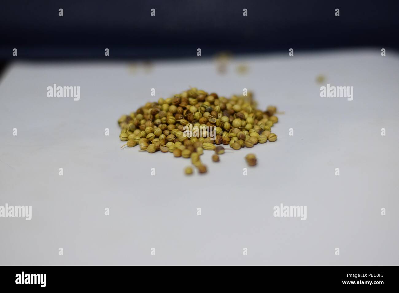 Coriander grains hi-res stock photography and images - Alamy