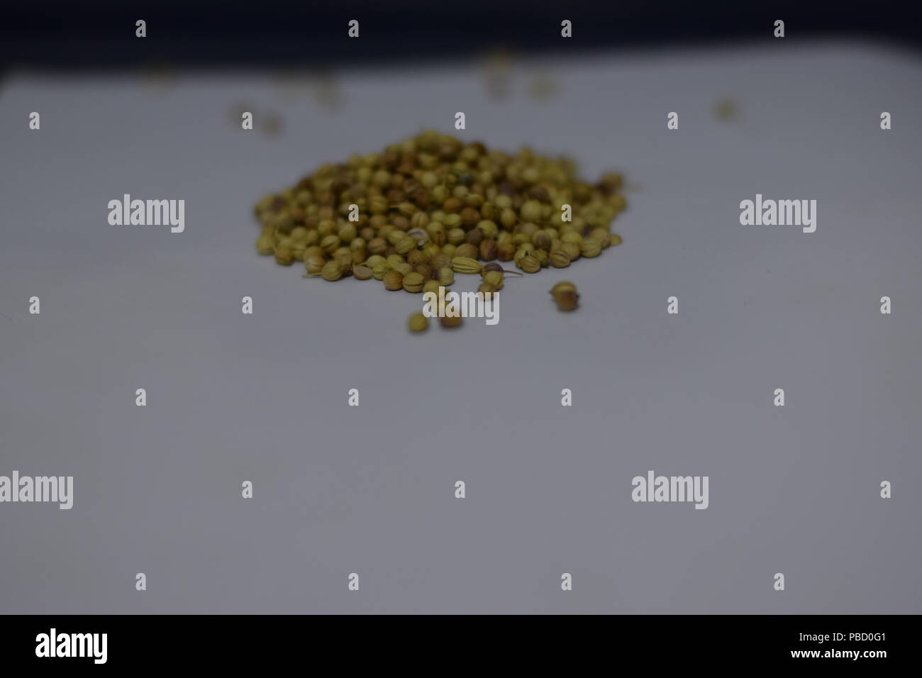 Coriander grains hi-res stock photography and images - Alamy