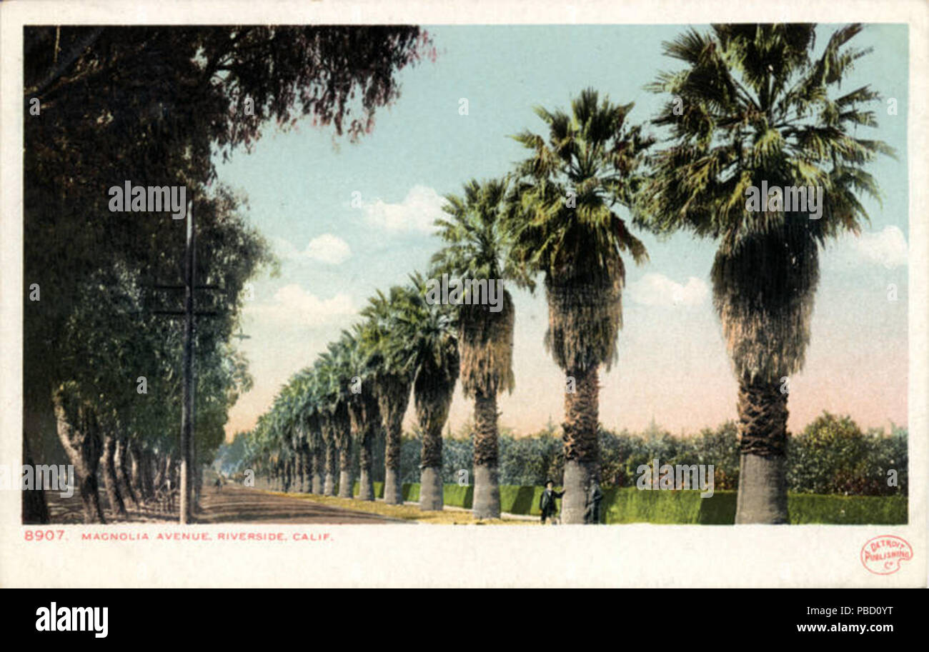 Magnolia avenue hi-res stock photography and images - Alamy