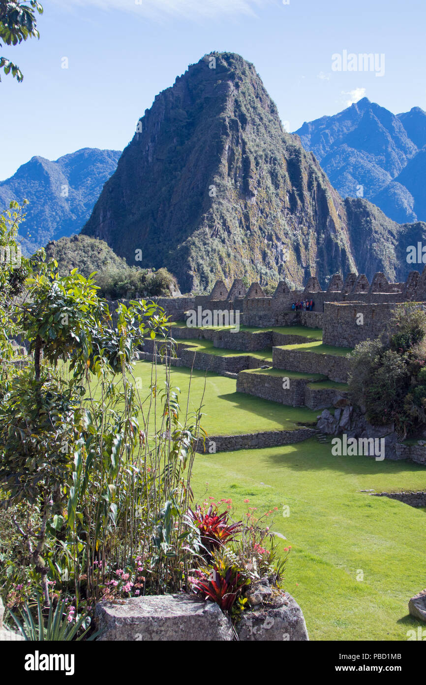 Ancient Inca Ruins of Machu Picchu Stock Photo - Alamy